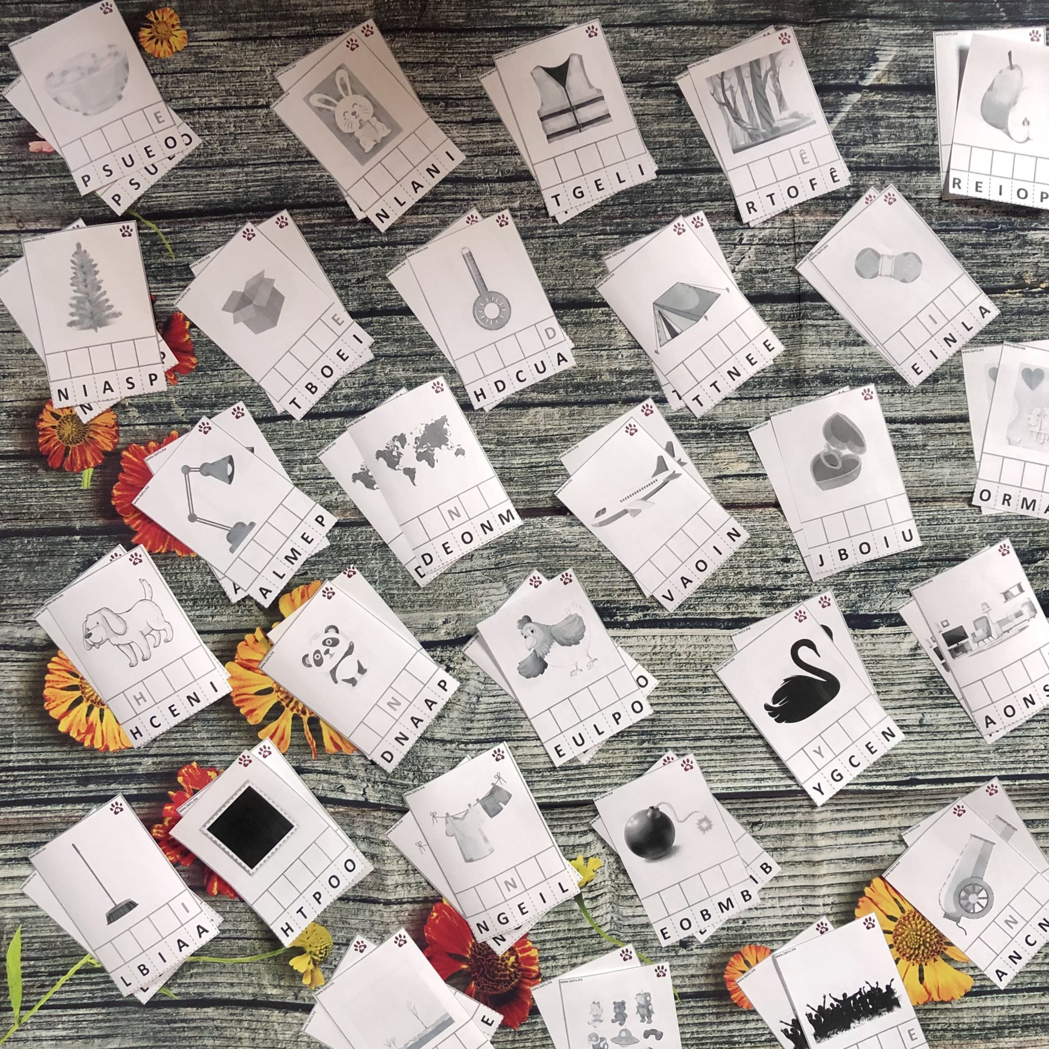 Encodage – Ressources pédagogiques