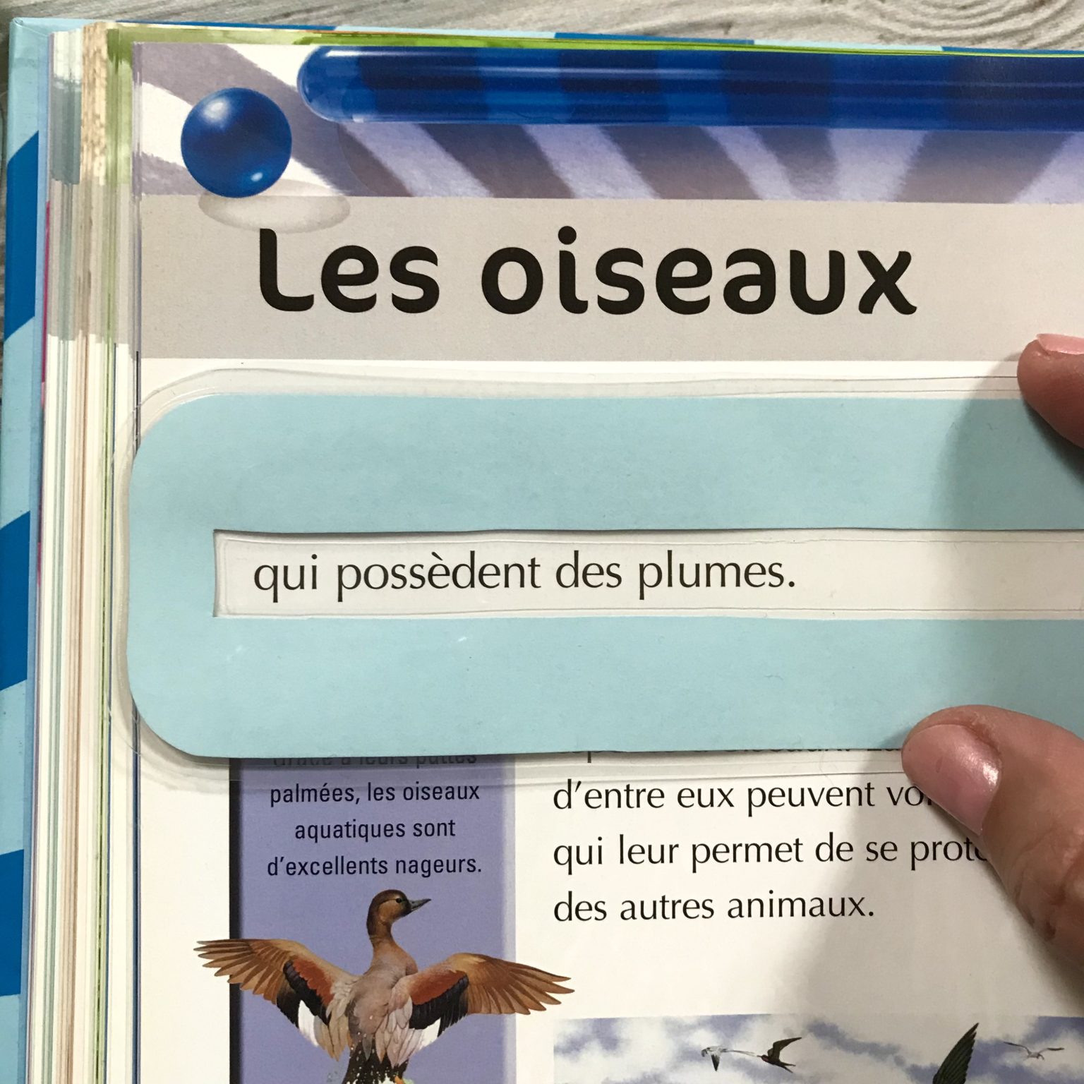 Guide de lecture – Ressources pédagogiques