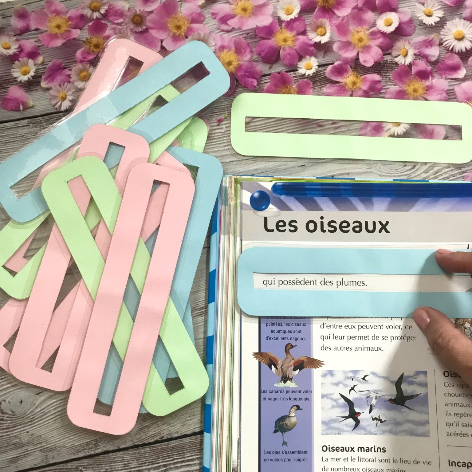 Guide de lecture – Ressources pédagogiques