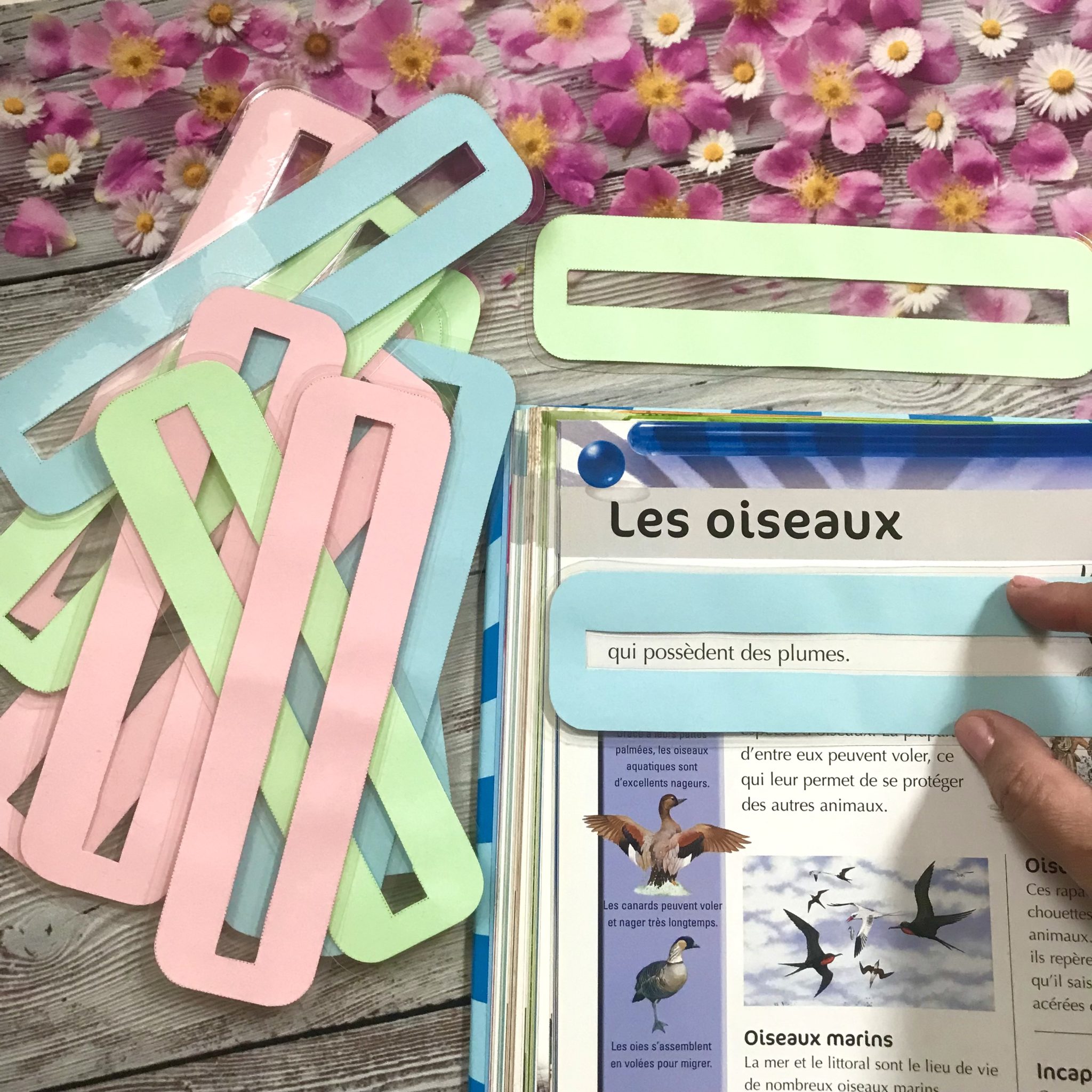 Guide de lecture – Ressources pédagogiques