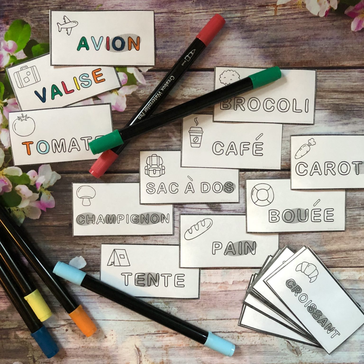 Mots à colorier – Ressources pédagogiques