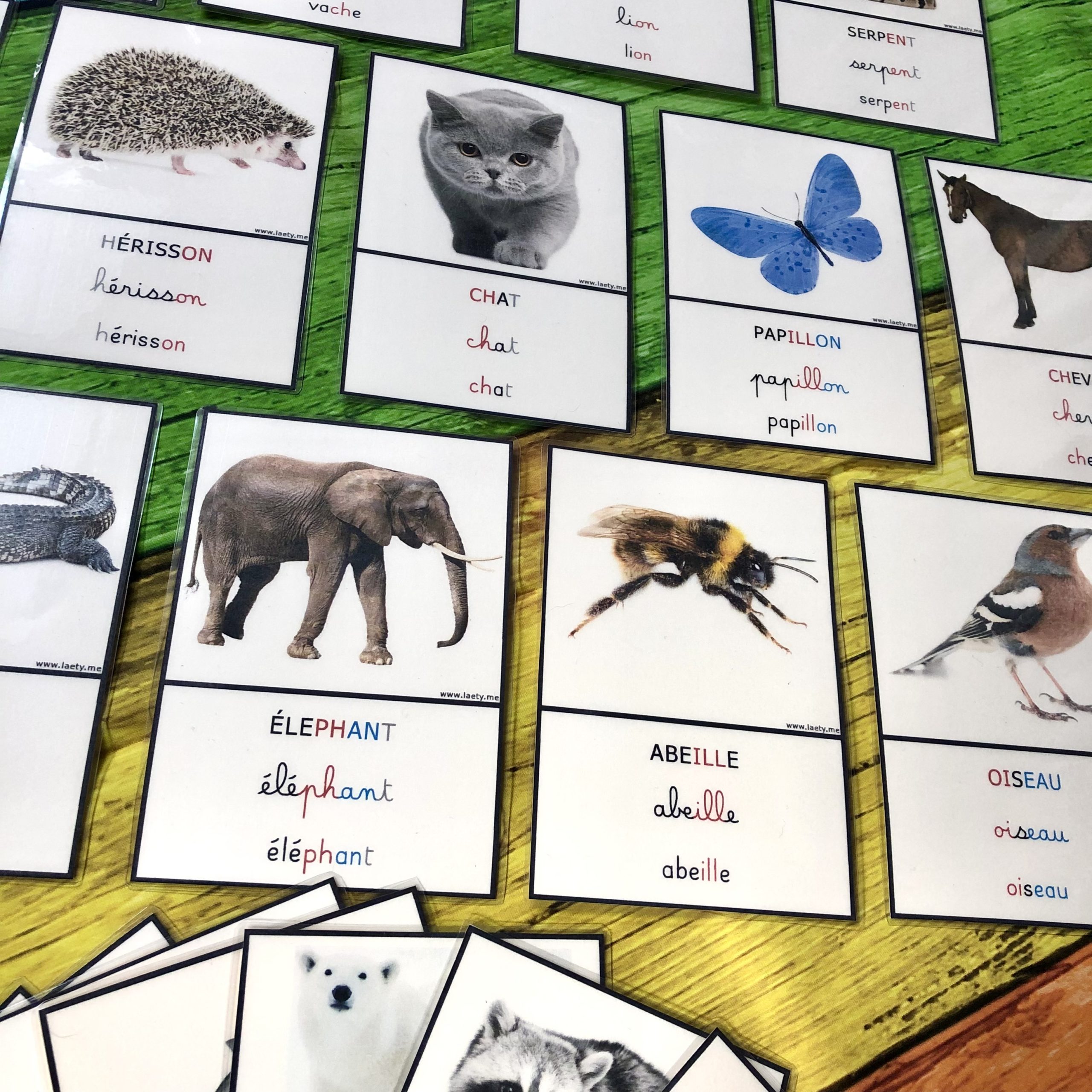 Vocabulaire / langage – Accueil