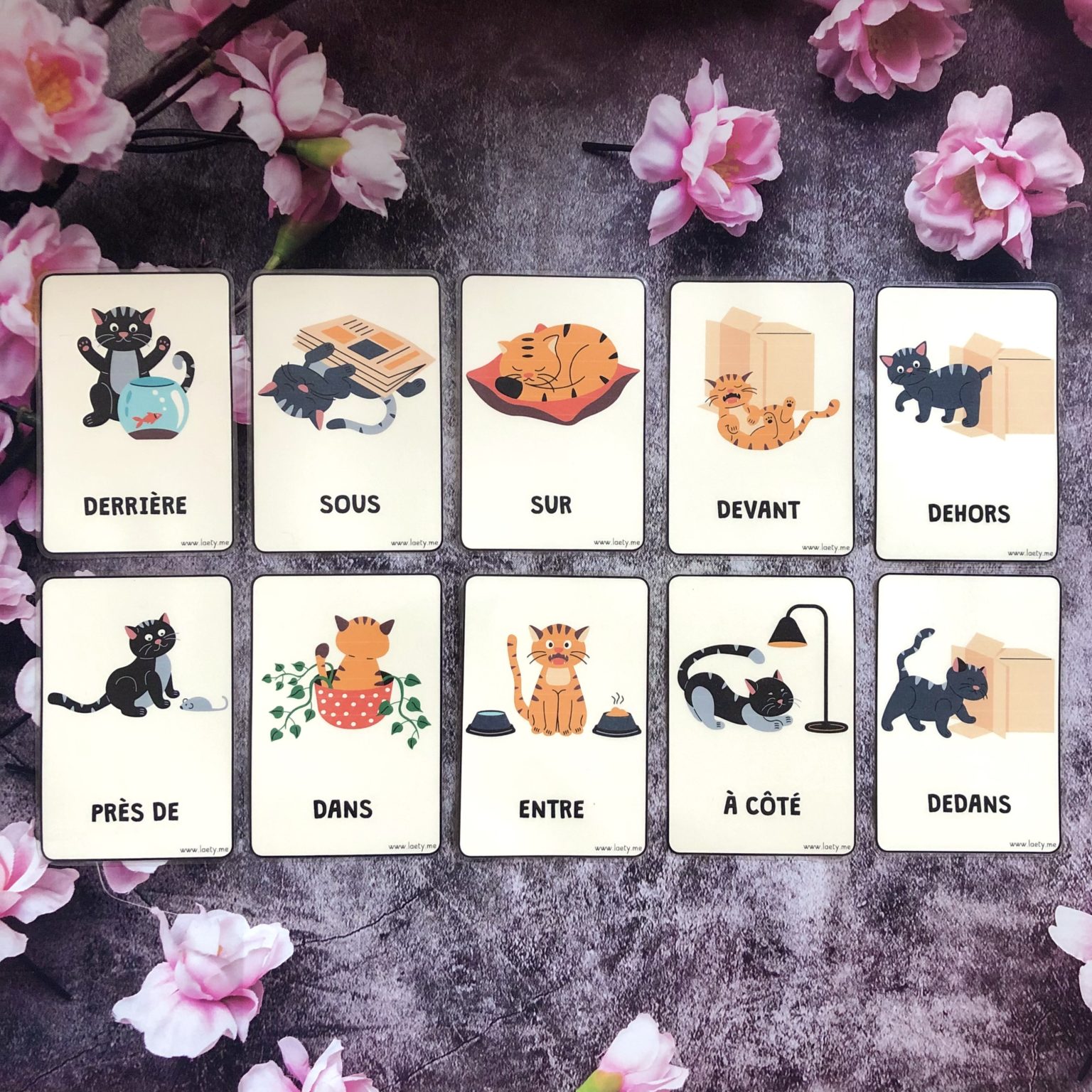 Cartes de positionnements – Ressources pédagogiques