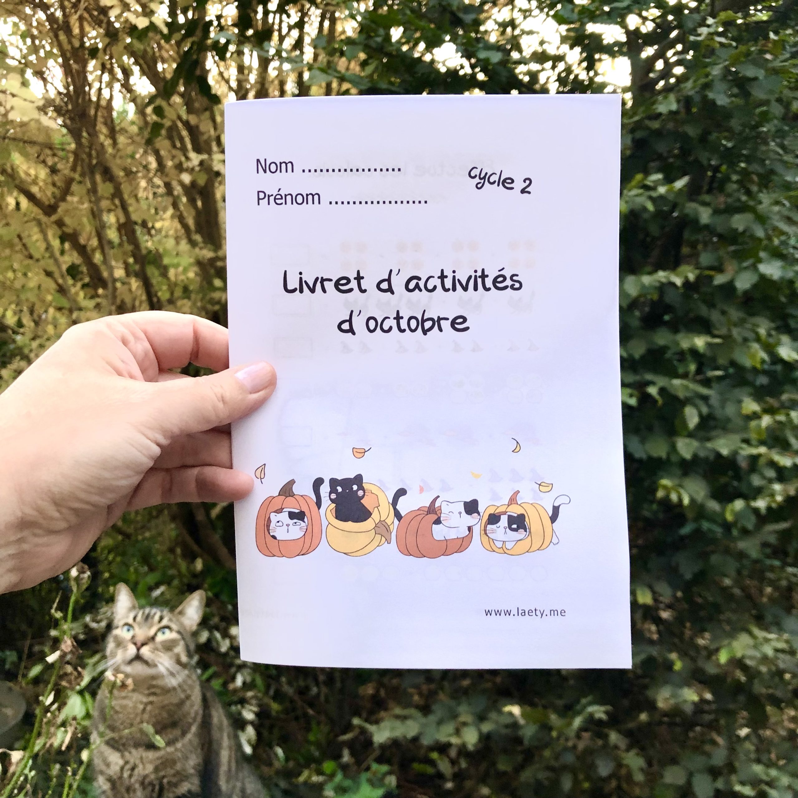 Livrets d’activités – Retour à la page d'accueil
